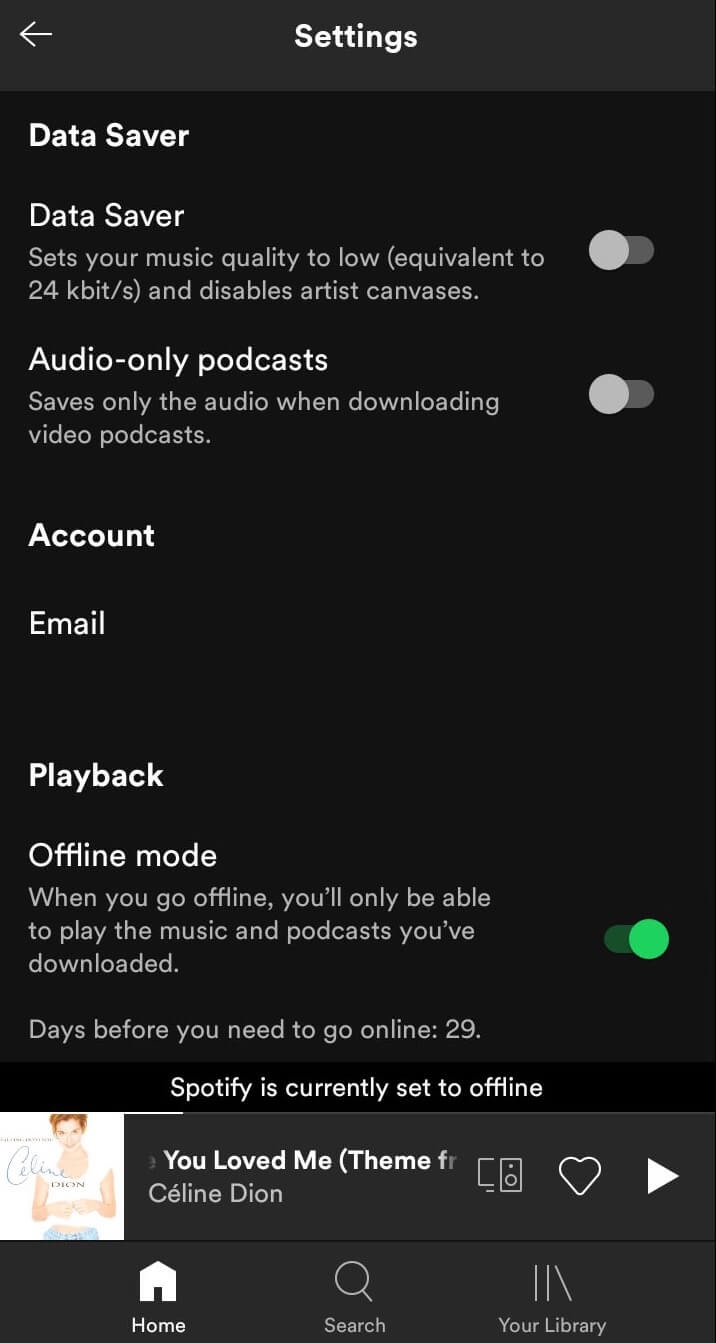 can you listen to spotify offline with premium - David Diestlyped